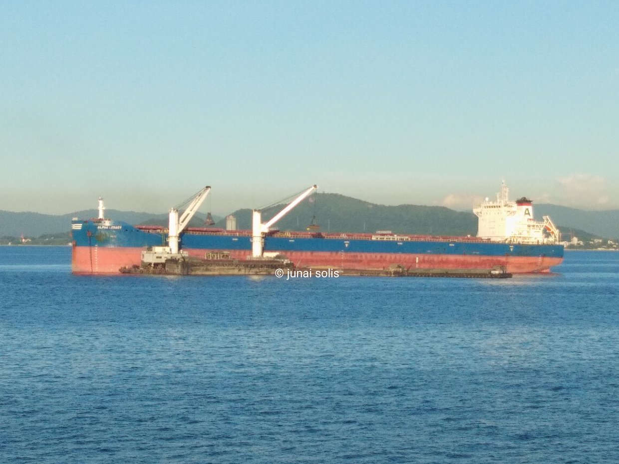 ALPHA LEGACY, Bulk carrier, IMO 9671838 | Vessel details ...